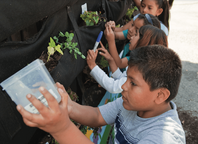 Building a Resilient Future: The Climate Ready Schools Coalition - Ten Strands